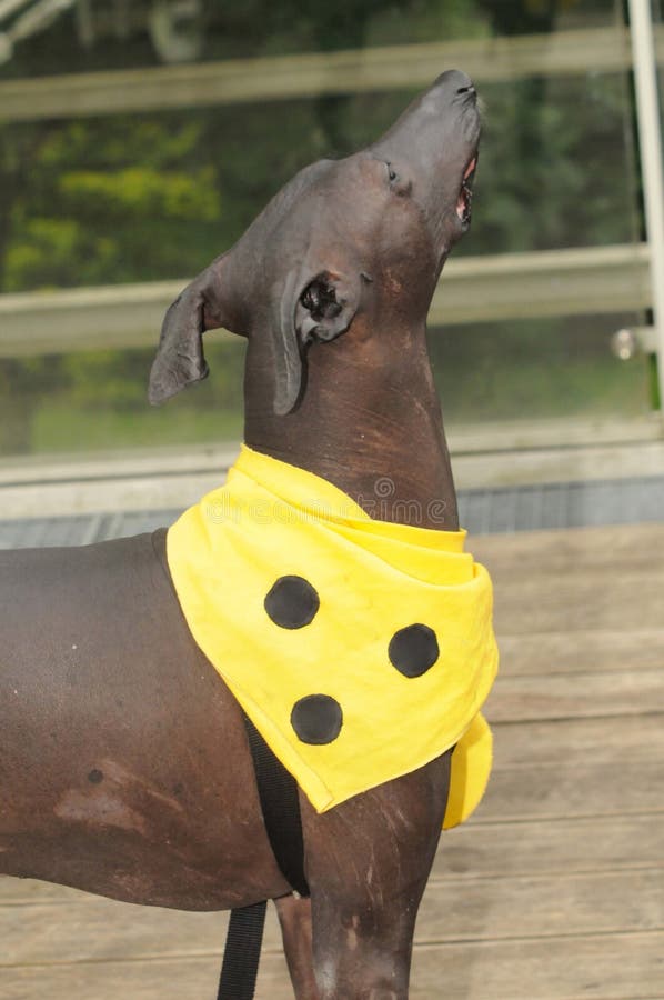 Blindness is a Non-visual Disability Also in Medicine Stock Image ...