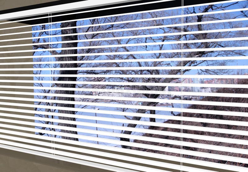 Blinds stock photo. Image of angle, plastic, pattern - 12983832