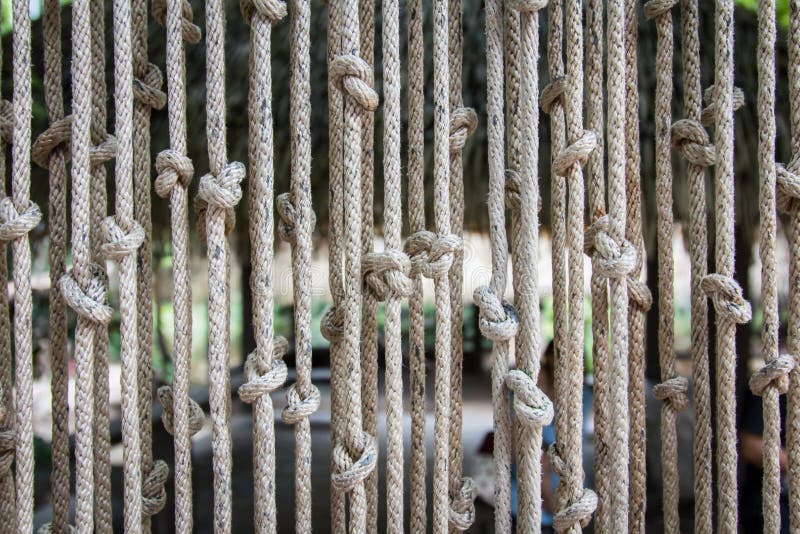 611 Rope Blinds Stock Photos - Free & Royalty-Free Stock Photos from ...