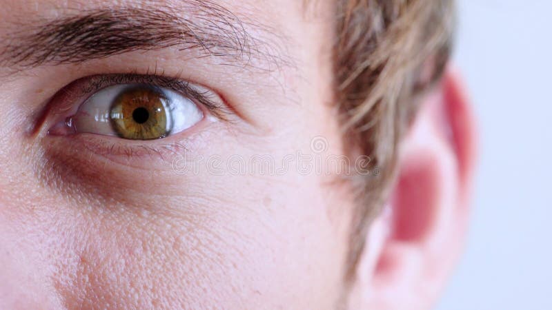 Blink Eye And Vision With Shock Of Man Iris For Sight Focus Or Pupil Retina Closeup With Open