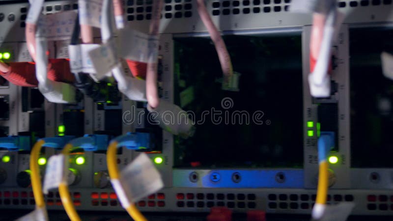 Blinking Orange and Green Indicators on Network Switch Back Panel ...