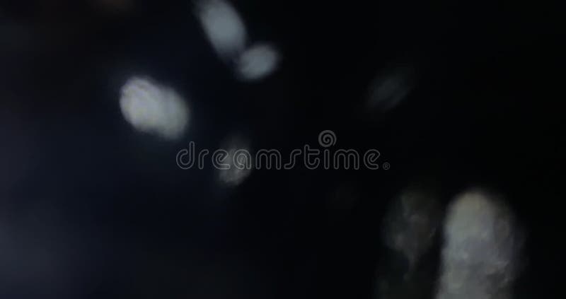 Blinks Light Leaks Transition Overlay 60fps Stock Video - Video of burn ...