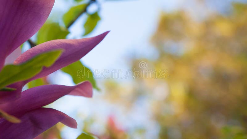 Bliss of spring stock photo. Image of people, winter - 37733518
