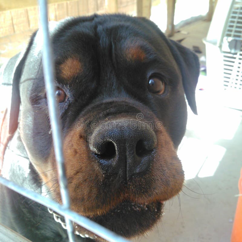 Blits Stock Photos - Free & Royalty-Free Stock Photos from Dreamstime