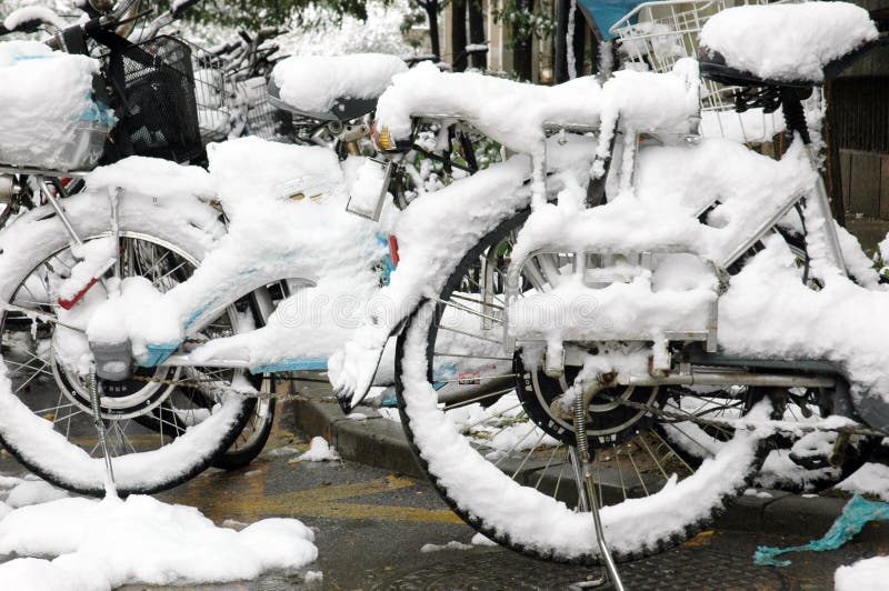 Blizzard Bikes stock image. Image of bikes, transportation - 295775