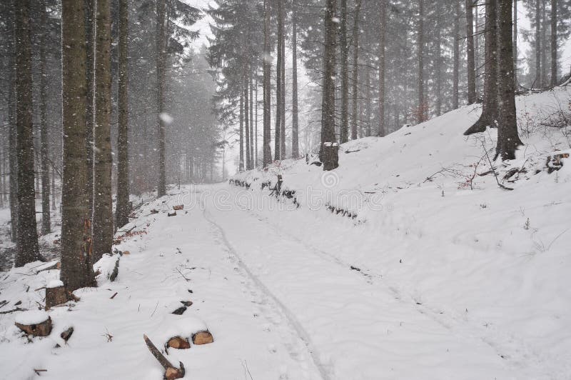Snowy wasteland stock photo. Image of cold, peak, snowy - 25171672