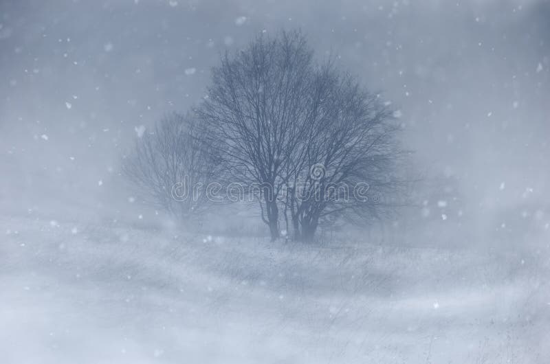 Snow Blizzards Background