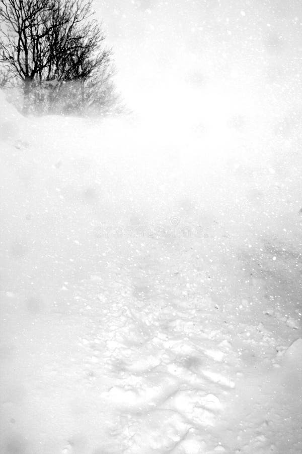 Snowstorm stock image. Image of blizzard, danger, denmark - 1973867