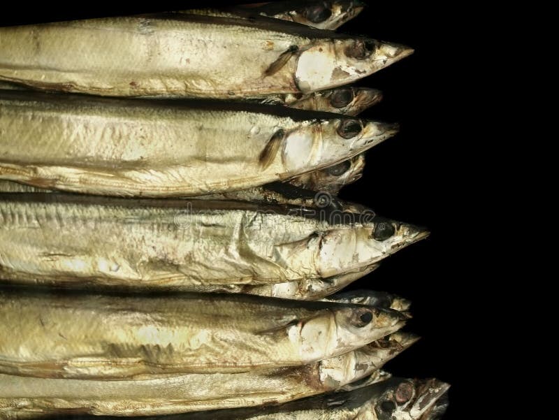 Bloater stock image. Image of abundance, isolated, bloater - 13070183