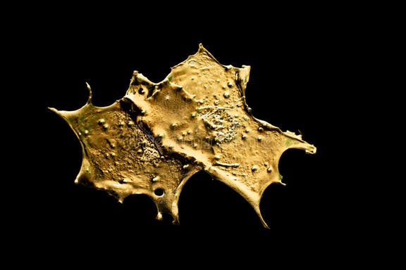 A blob of molten metal stock image. Image of metal, bright - 255301097