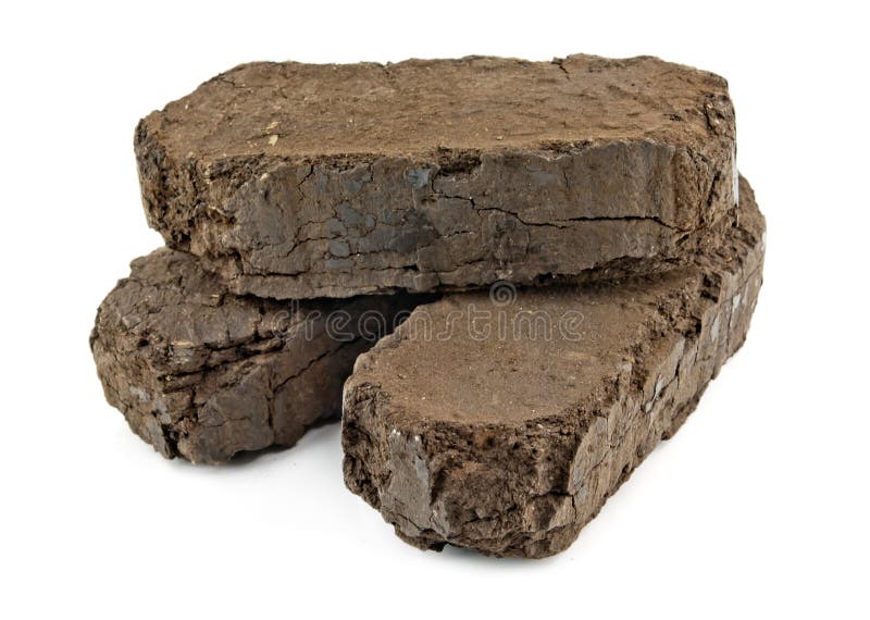 Blocchetto Antracite Del Carbone Immagine Stock - Immagine di geologico ...