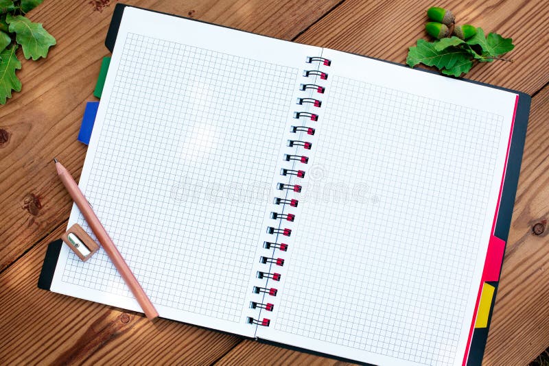 Blocco Note a Spirale Aperto Con La Matita Ed Il Girasole Immagine ...