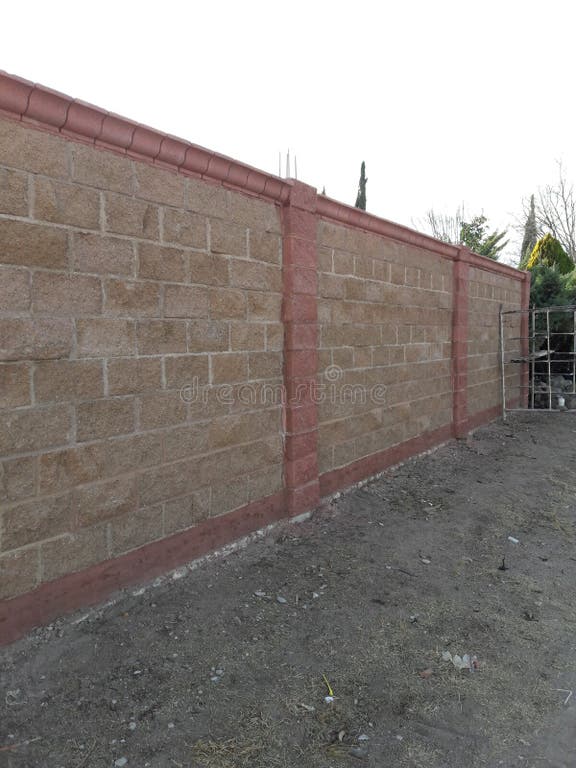 155 Cara De Terror Stock Photos - Free & Royalty-Free Stock Photos from ...