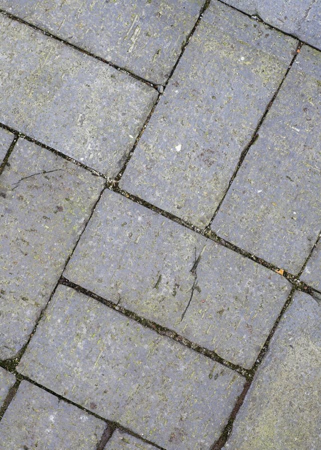 Paving Slabs Picture. Image: 20690952