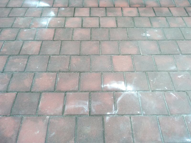 Paving Floor in the Front Yard of the House Stock Image - Image of ...