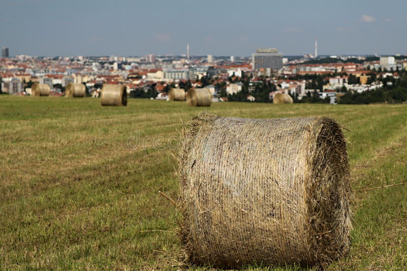 Block of straw stock image. Image of stem, farm, yellow - 20870691