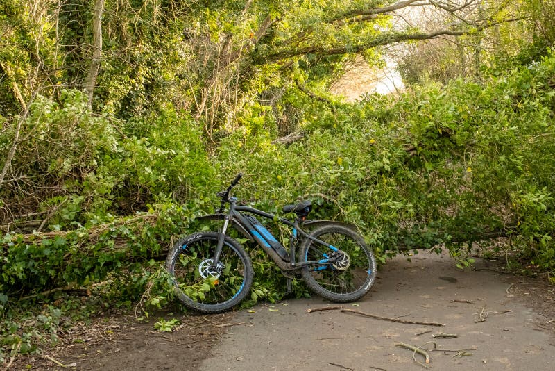 Blocked Cycle Path with Fallen Trees on Hadrians Cycleway - Route 72 ...