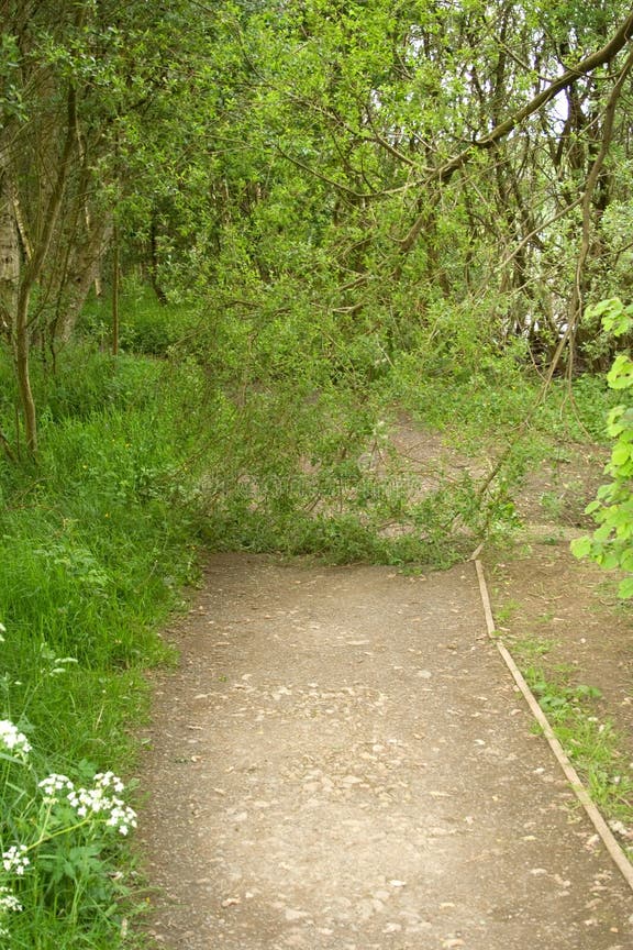 Blocked Path stock image. Image of broken, blocking, pathway - 10376231
