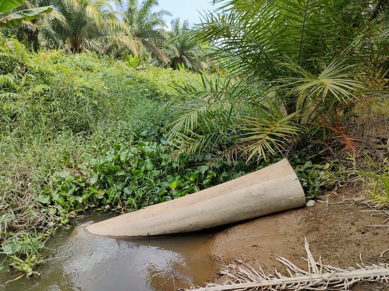 155 Blocked River Flow Photos - Free & Royalty-Free Stock Photos from ...