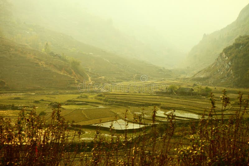 Blockhouse and Rice Fields in Mist,Thailand Stock Image - Image of ...