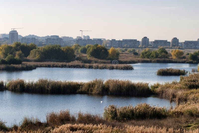 Pit Vacaresti or Delta Park in Bucharest, Romania. Stock Image - Image ...