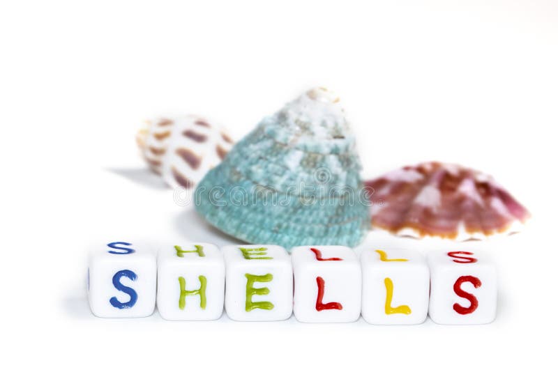 Colorful sea shells stock photo. Image of basket, closeup - 22694720