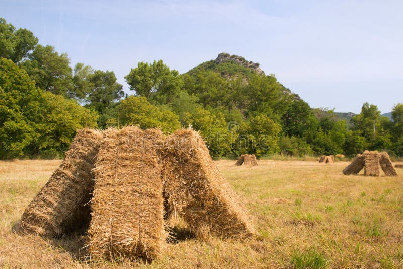 Blocks with Hay in the Fields Stock Photo - Image of meadow, stack ...