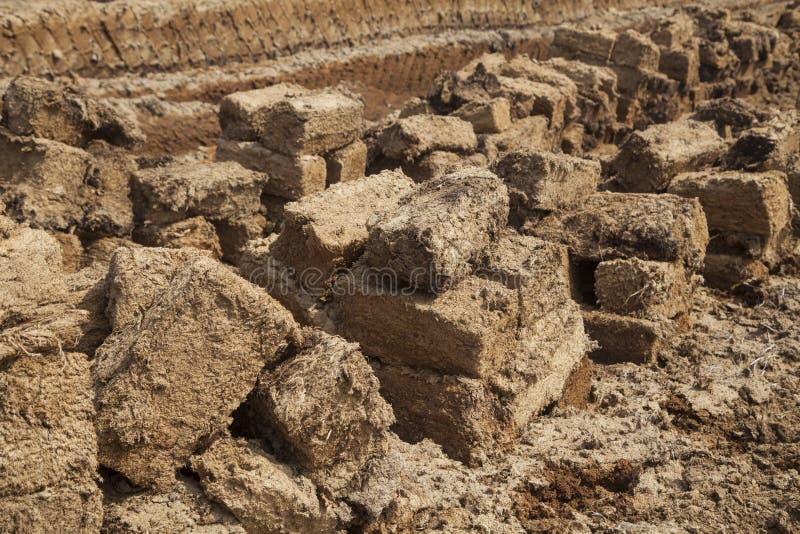Peat field stock photo. Image of landscape, outdoors - 42440964