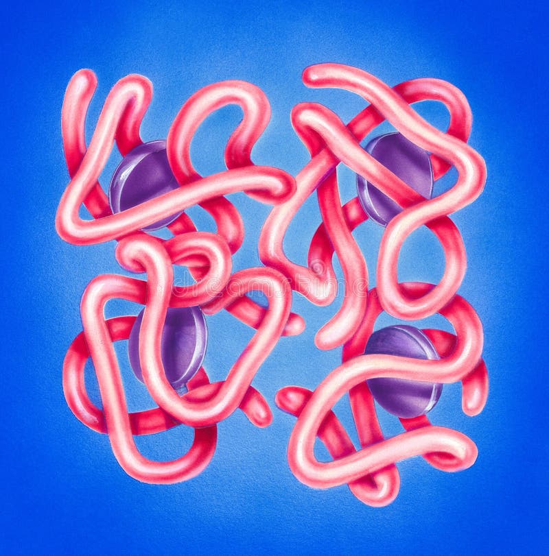 Bloed - Hemoglobinemolecule Stock Foto - Image of zuurstof, ijzer: 82147296