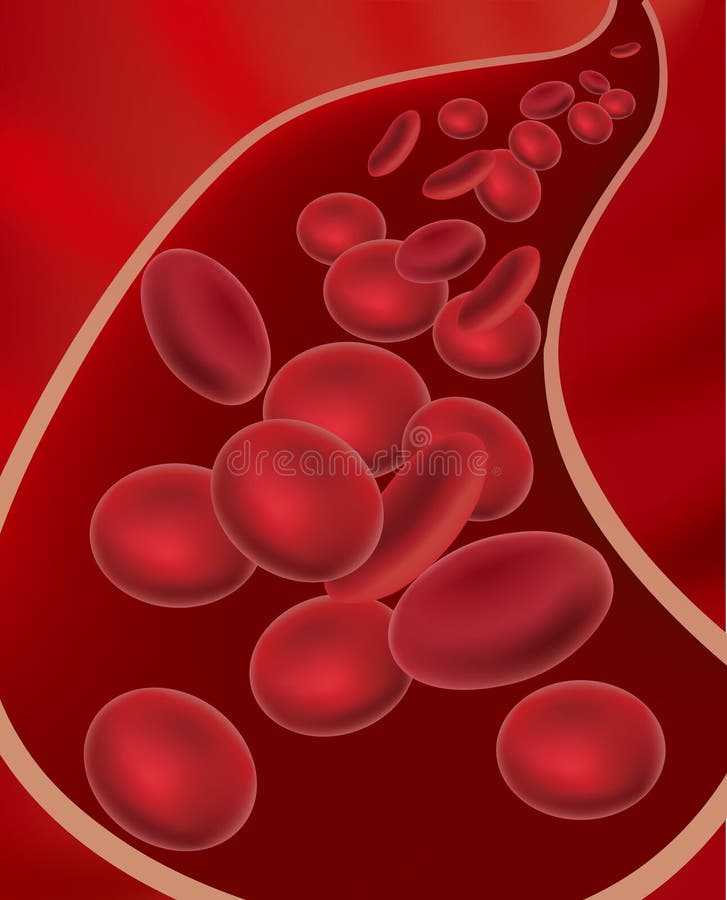 Medische Rode Bloedcellen, Gezondheid, Cardiologie Stock Illustratie ...