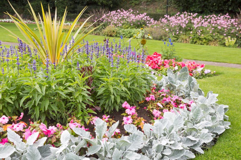 Bloemen in park siertuinen stock afbeelding. Image of buiten - 98670745
