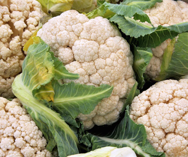 Bloemkolen stock afbeelding. Afbeelding bestaande uit kruidenier - 5109391