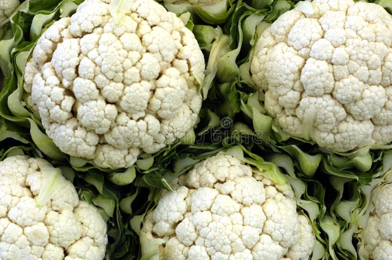 Bloemkolen stock afbeelding. Image of kruidenier, bloemkool - 5109391