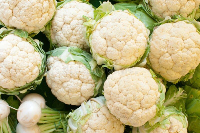 Bloemkolen stock afbeelding. Image of bloemkool, voeding - 9302245