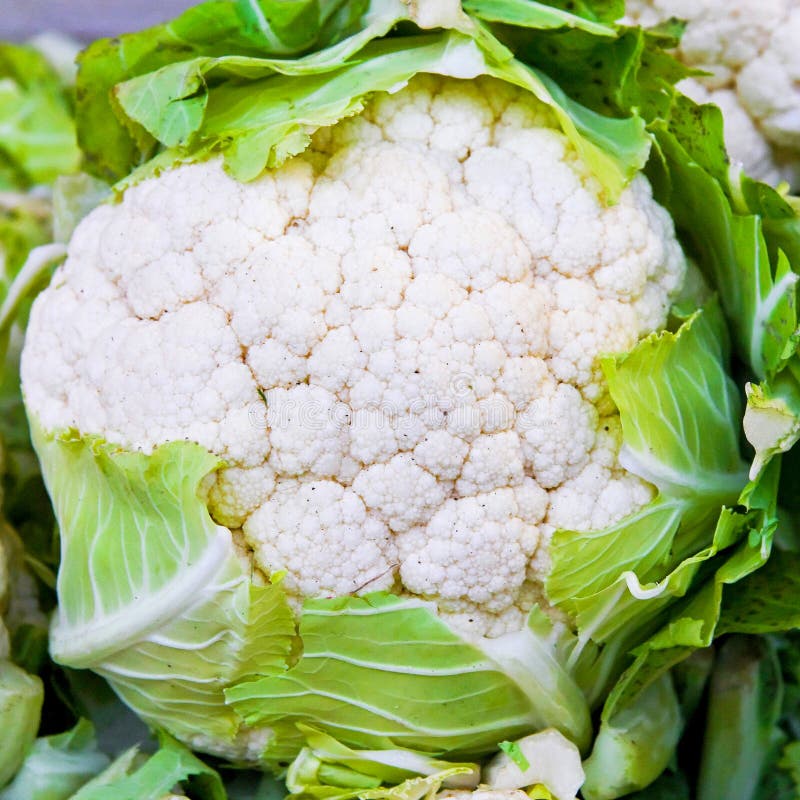 Bloemkool stock afbeelding. Image of nave, bloemkolen - 11781405