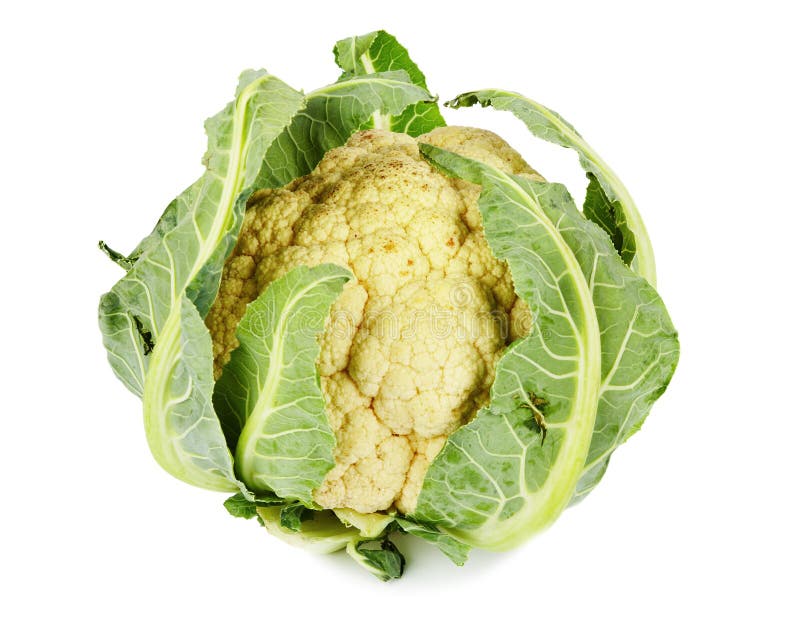 Bloemkool stock afbeelding. Image of groen, landbouw, oogst - 3541839