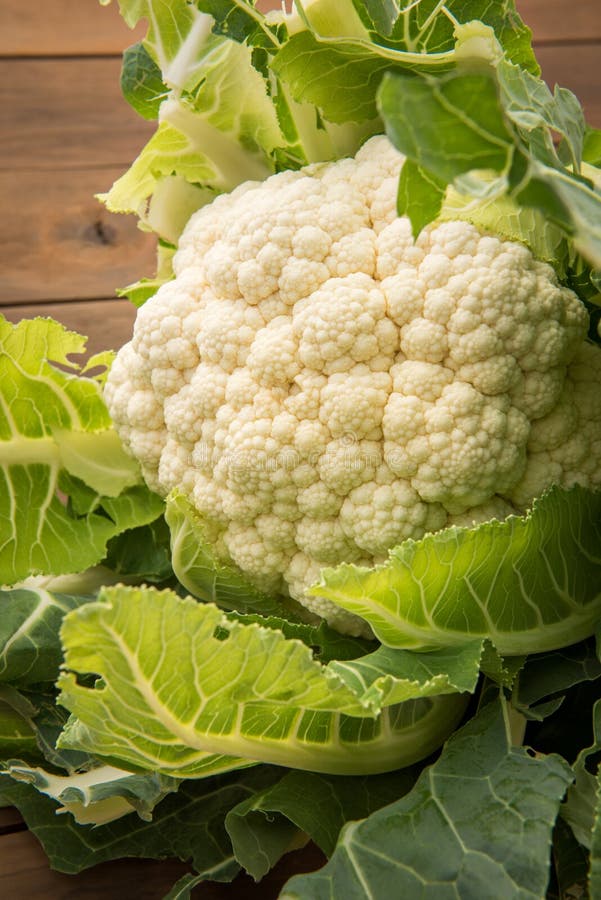 Bloemkool stock afbeelding. Image of oogst, verticaal - 49227483