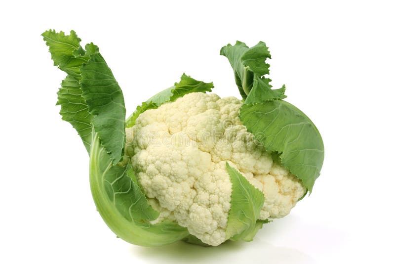 Groene bloemkool stock foto. Image of groen, installatie - 55288704