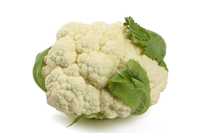 Groene bloemkool stock foto. Image of groen, installatie - 55288704