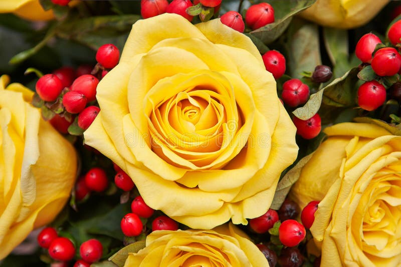 Blomkruka med gula rosor fotografering för bildbyråer. Bild av lappverk ...