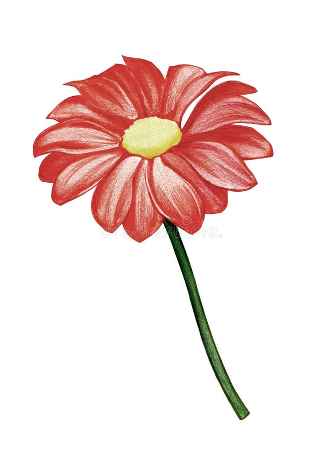 Blomma stock illustrationer. Illustration av spränga - 39050203