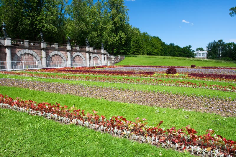 Blomrabatt arkivfoto. Bild av fanciful, guld, sommar - 10104626