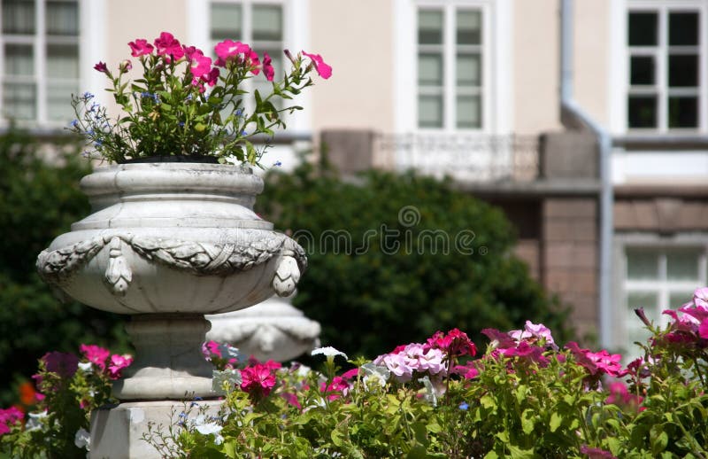 Blomrabatt arkivfoto. Bild av pretentiöst, staty, mannered - 10104674