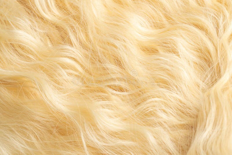 Blond Wavy Hair Pattern. Top View Stock Image - Image of glamour ...