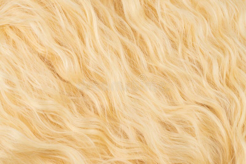 Blond Wavy Hair Pattern. Top View Stock Photo - Image of color, curly ...