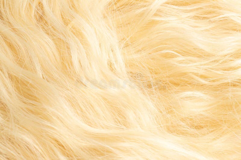 Blond Wavy Hair Pattern. Top View Stock Illustration - Illustration of ...