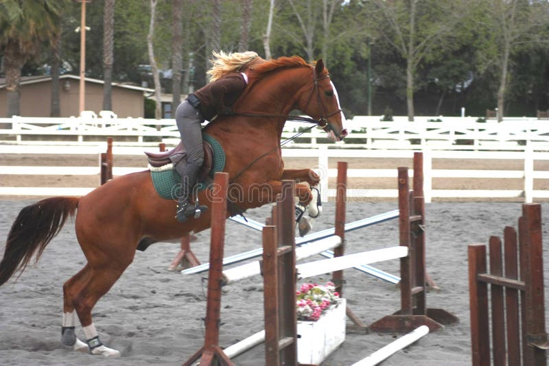 Blond Woman Jumping Horse Over Gate Stock Image - Image of stable ...