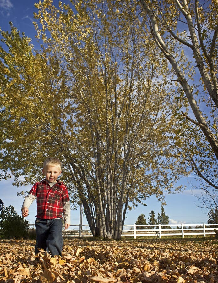 Young Children Raking Autumn Leaves Stock Photo - Image of fall, raking ...