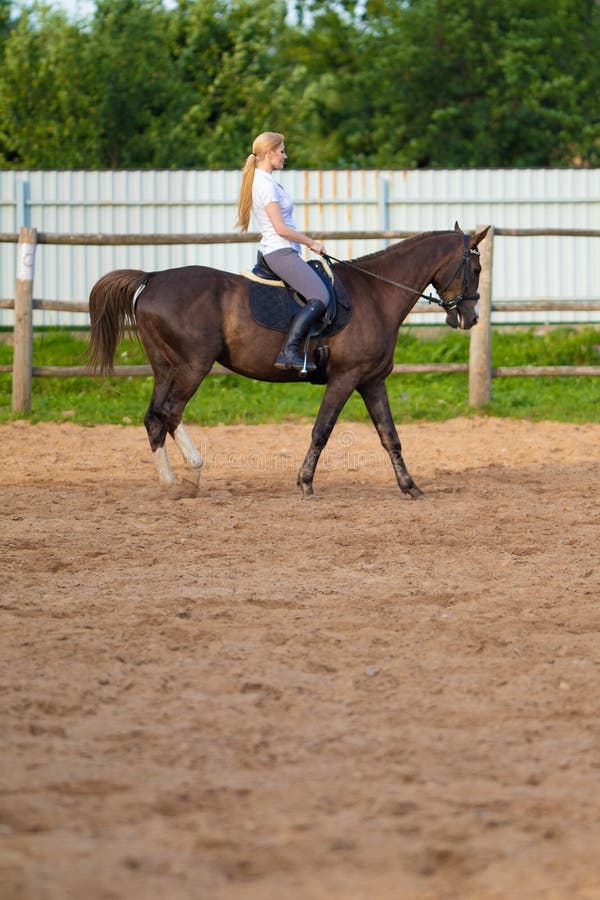 Blonde Frau Mit Langem Haarjockeyreiter Auf Einer Braune, in Einer ... Blonde Frau Mit Langem Haarjockeyreiter Auf Einer Braune, in Einer ...