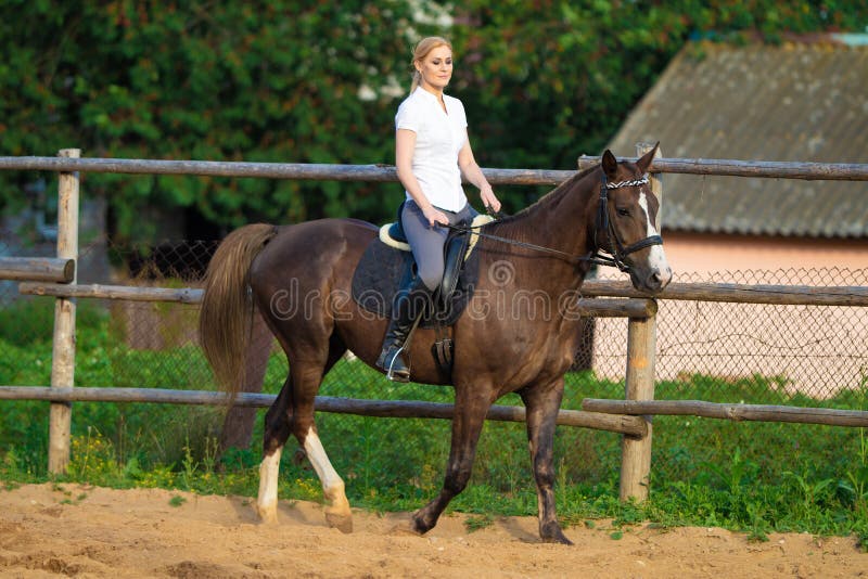 Blonde Frau Mit Langem Haarjockeyreiter Auf Einer Braune, in Einer ... Blonde Frau Mit Langem Haarjockeyreiter Auf Einer Braune, in Einer ...